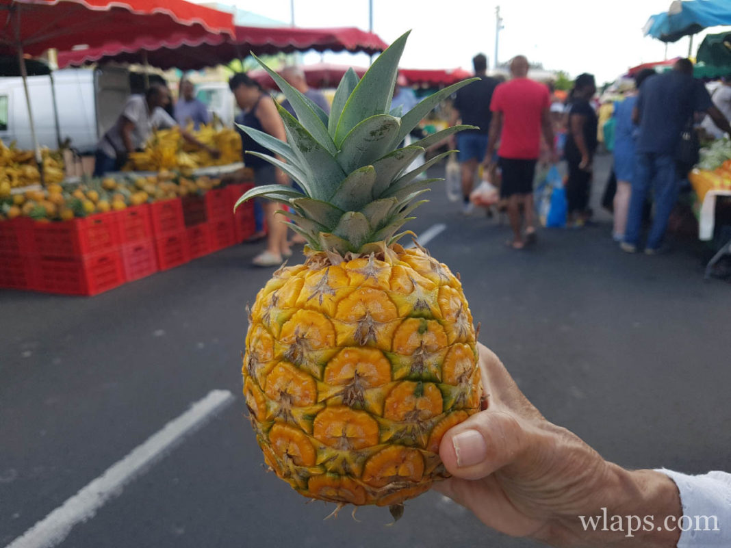 Quels sont les légumes et les fruits exotiques de Martinique ? - Wlaps